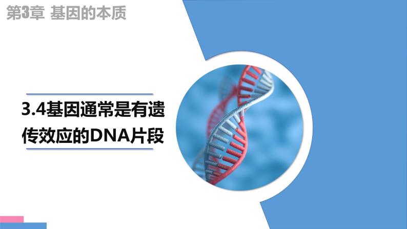 人教版 2019必修2《遗传与进化》第4节 基因通常是有遗传效应的dna片段说课ppt课件 教习网课件下载