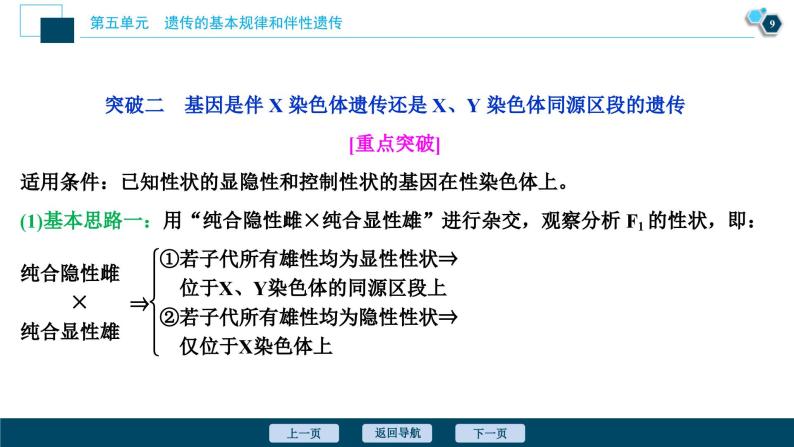 高考生物一轮复习课件第5单元 加强提升课5 基因位置的判定及相关实验设计突破 含解析 教习网课件下载