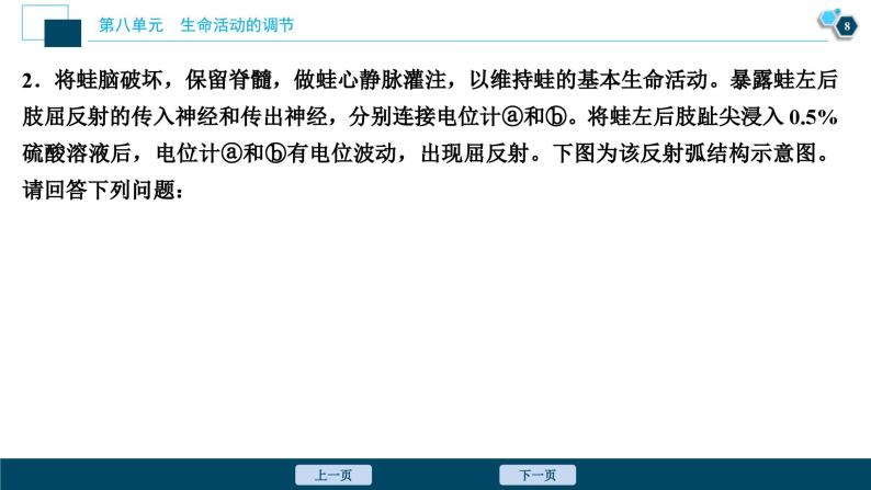 高考生物一轮复习课件第8单元 加强提升课6 反射弧中兴奋传导特点的实验探究 含解析 教习网课件下载