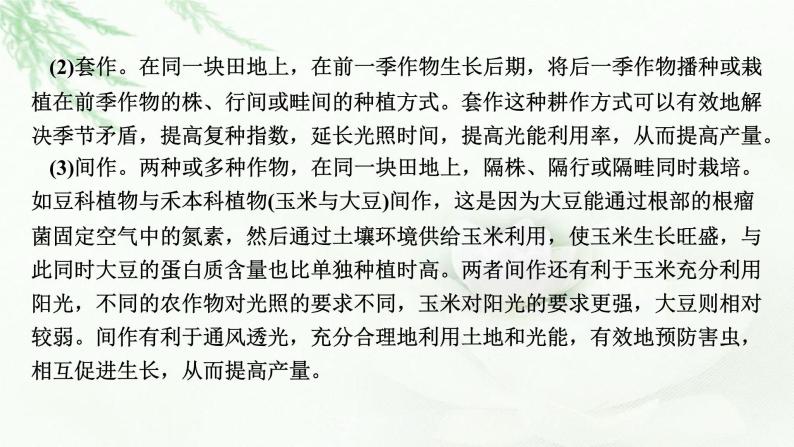 2024届高考生物一轮复习第三单元细胞的能量供应和作用热点专题4光合作用、呼吸作用与农业生产课件 教习网课件下载