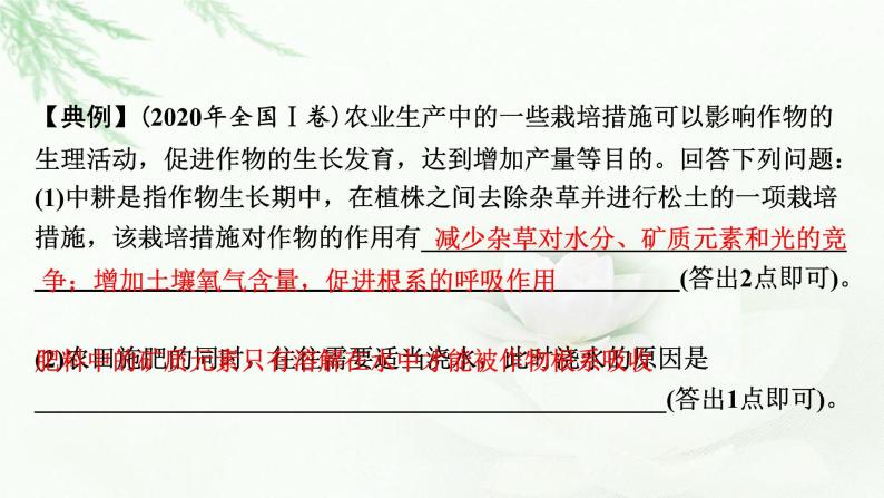 2024届高考生物一轮复习第三单元细胞的能量供应和作用热点专题4光合作用、呼吸作用与农业生产课件 教习网课件下载
