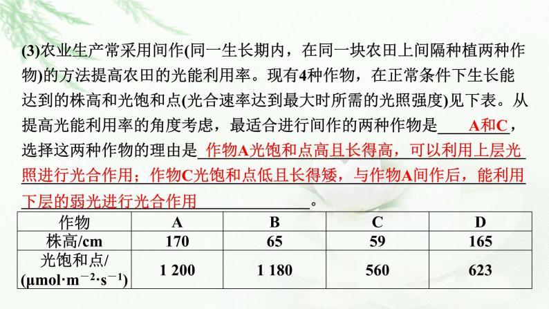 2024届高考生物一轮复习第三单元细胞的能量供应和作用热点专题4光合作用、呼吸作用与农业生产课件 教习网课件下载