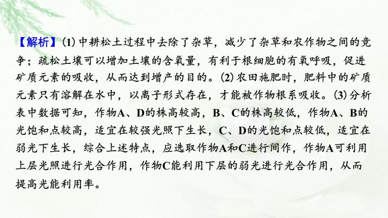 2024届高考生物一轮复习第三单元细胞的能量供应和作用热点专题4光合作用、呼吸作用与农业生产课件 教习网课件下载