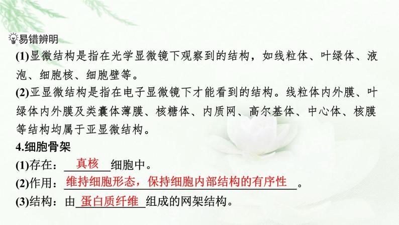 2024届高考生物一轮复习第二单元细胞的基本结构细胞的物质输入和输出第2讲细胞器之间的分工合作课件 教习网课件下载