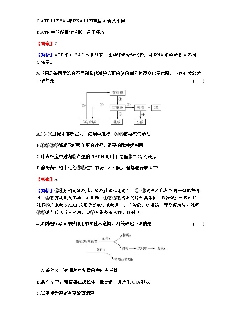 2024届高考生物一轮复习第三单元细胞的能量供应和作用第2讲细胞的能量 货币”atp细胞呼吸的原理和应用练习含答案 教习网试卷下载