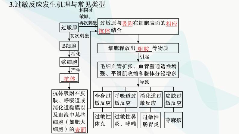 高中生物人教版 2019选择性必修1第3节 免疫失调课文配套课件ppt 教习网课件下载