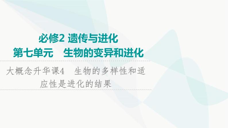 2024届苏教版高考生物一轮复习大概念升华课4生物的多样性和适应性是进化的结果课件 教习网课件下载