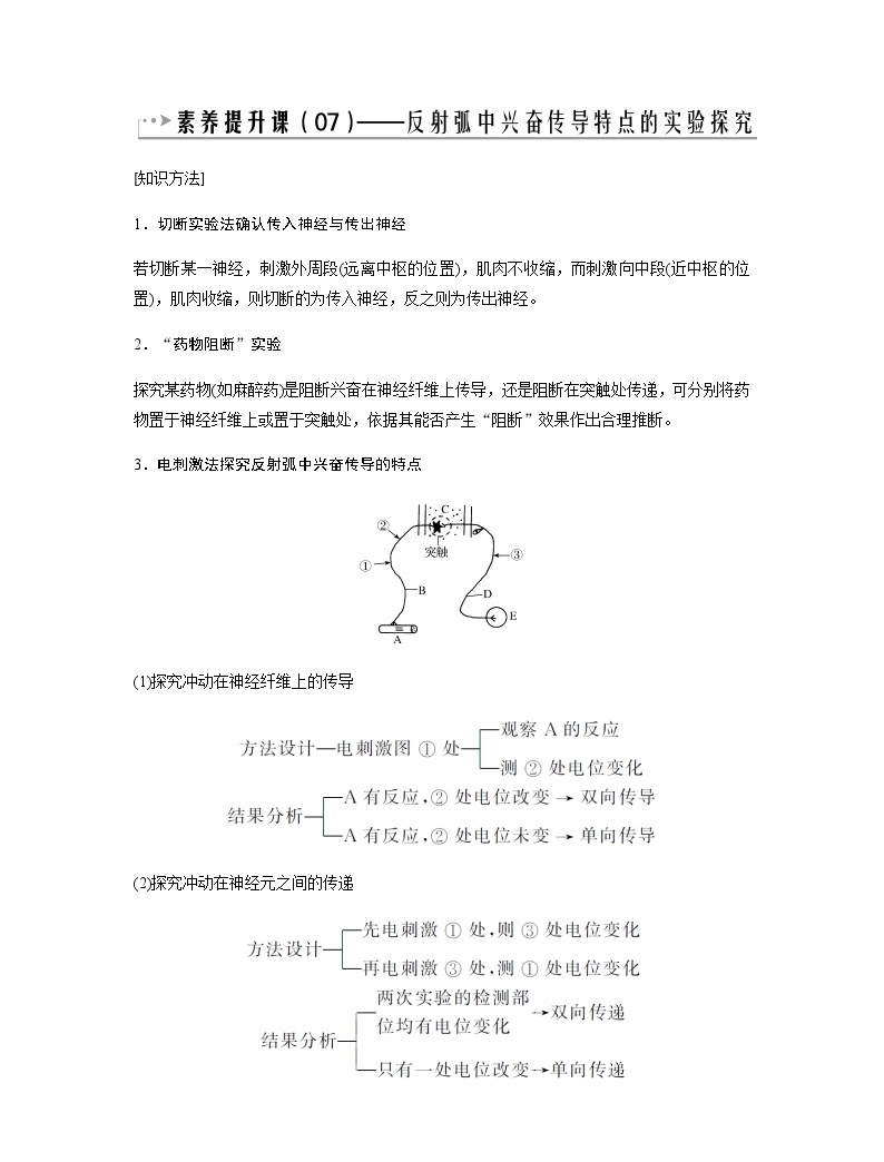 2024届人教版高中生物一轮复习素养提升反射弧中兴奋传导特点实验探究学案（不定项） 教习网学案下载