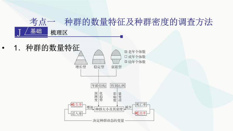 2024届人教版高考生物一轮复习种群及其动态课件（多项） 教习网课件下载