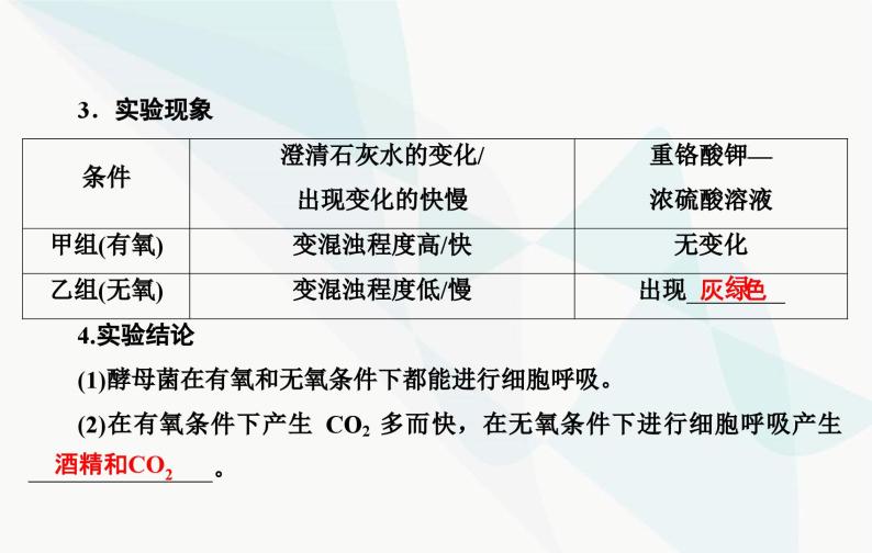 2024届人教版高考生物一轮复习细胞呼吸的原理和应用课件（单选版） 教习网课件下载