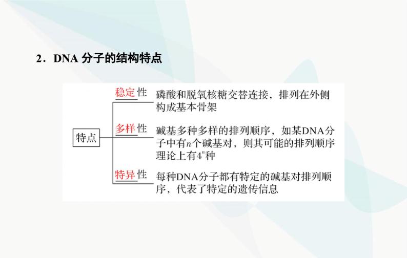 2024届人教版高考生物一轮复习dna的结构、复制与基因本质课件（单选版） 教习网课件下载