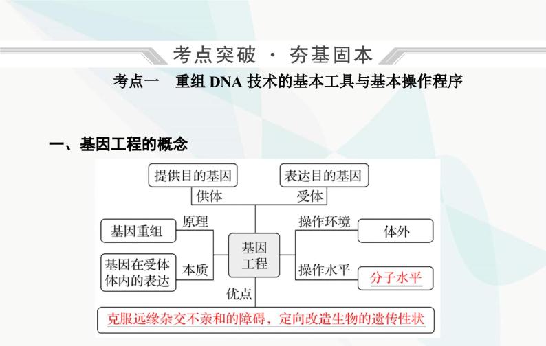 2024届人教版高考生物一轮复习基因工程及生物技术的安全性与伦理问题课件（单选版） 教习网课件下载