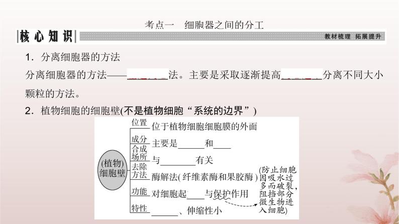 2024届高考生物一轮总复习第二单元细胞的基本结构与物质运输第5讲细胞器之间的分工合作课件 教习网课件下载