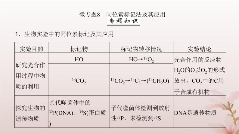 2024届高考生物一轮总复习第六单元遗传的分子基础微专题8同位素标记法及其应用课件 教习网课件下载