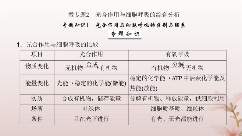 2024届高考生物一轮总复习第三单元细胞的能量供应和利用微专题2光合作用与细胞呼吸的综合分析课件 教习网课件下载