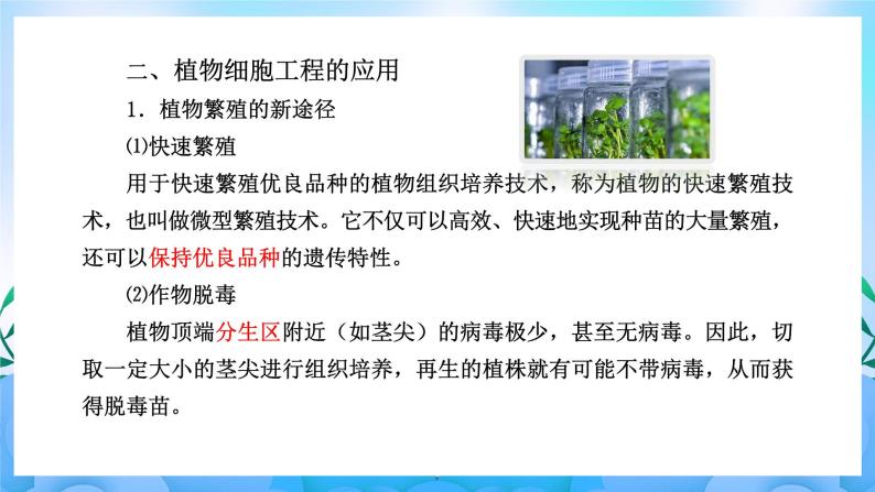 21 植物细胞工程 课件 人教版生物选择性必修3 教习网课件下载