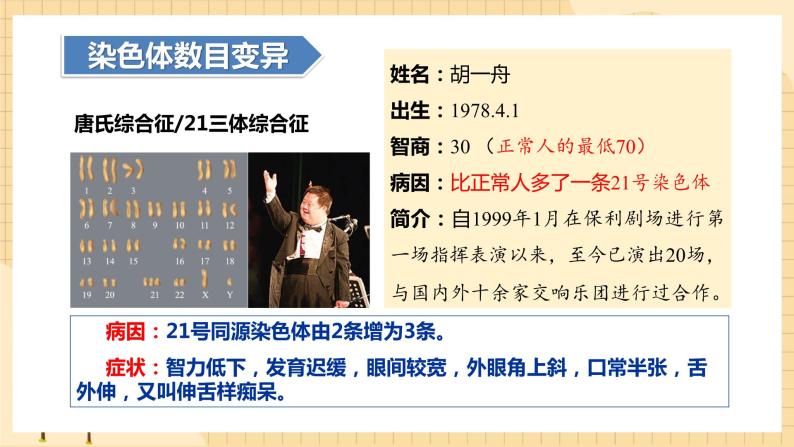 生物必修2《遗传与进化》第5章 基因突变及其他变异第2节 染色体变异试讲课ppt课件 教习网课件下载