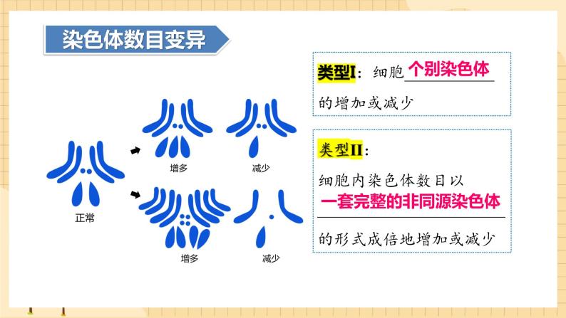 生物必修2《遗传与进化》第5章 基因突变及其他变异第2节 染色体变异试讲课ppt课件 教习网课件下载