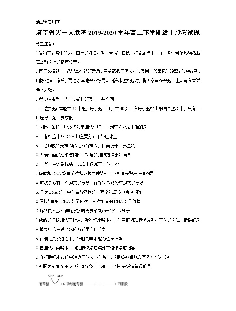 【生物】河南省天一大联考2019 2020学年高二下学期线上联考试题 教习网 试卷下载
