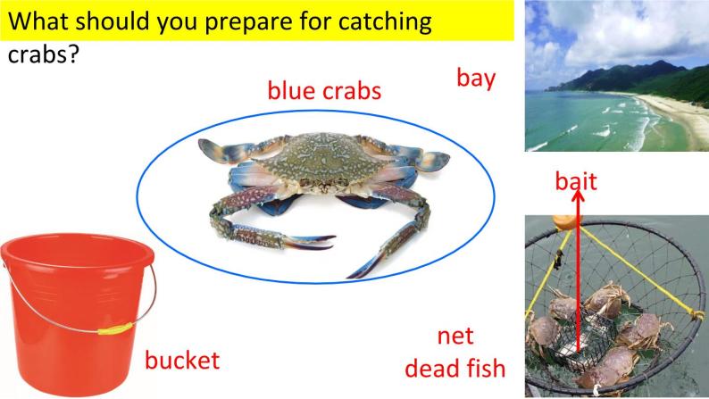 2023届高考英语读后续写：Catching crabs for supper 课件-教习网|课件下载