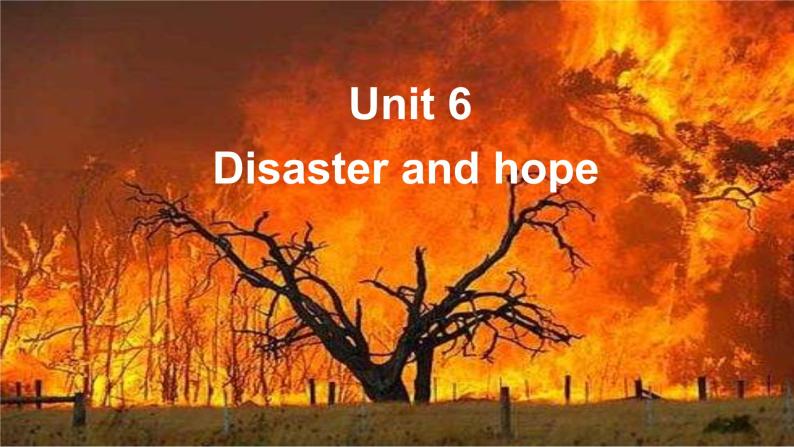 高中英语外研版 (2019)必修 第三册Unit 6 Disaster and hope图文ppt课件-教习网|课件下载