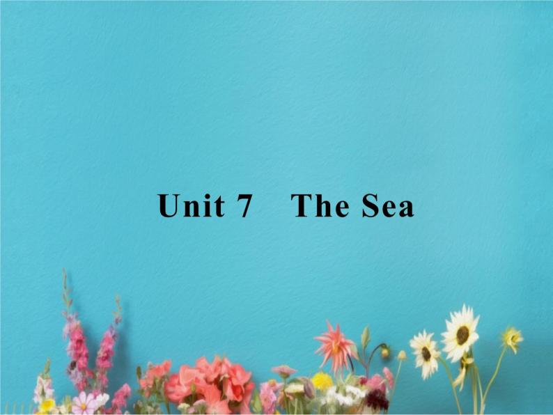 高中北师大版模块3 Unit 7 The Sea背景图课件ppt-教习网|课件下载