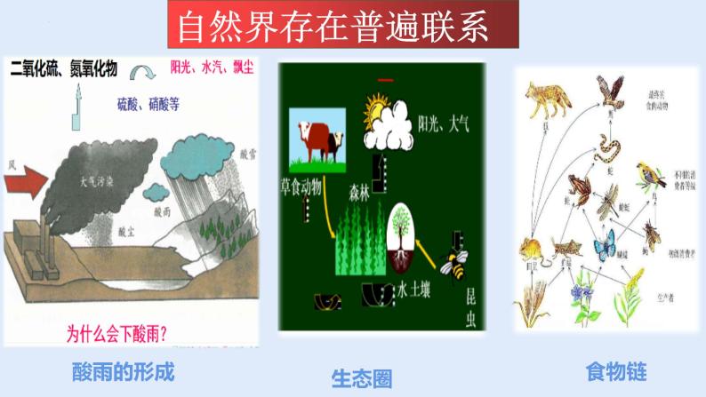 高中政治 (道德与法治)人教统编版必修4 哲学与文化世界是普遍联系的评课课件ppt-教习网|课件下载