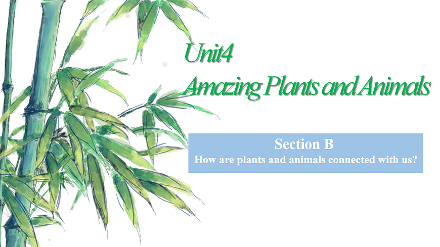 新人教版初中英语8上Unit4 Amazing Plants and Animals SectionB课文全解课件(含听力)-课件下载-教习网