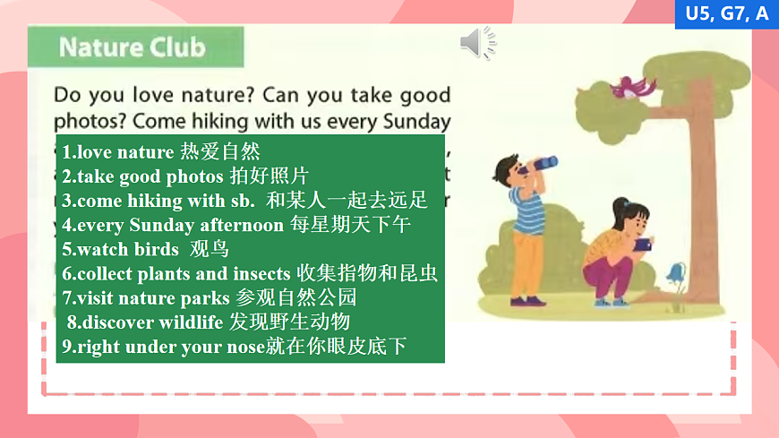 Unit 5 Fun Clubs Section B Project 课件 2025-2026学年人教版英语七年级上册-课件下载-教习网